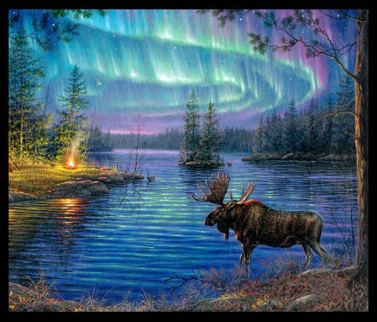Northern Lights – Elizabeth's Studio