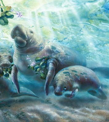 Gentle Giants – Elizabeth's Studio