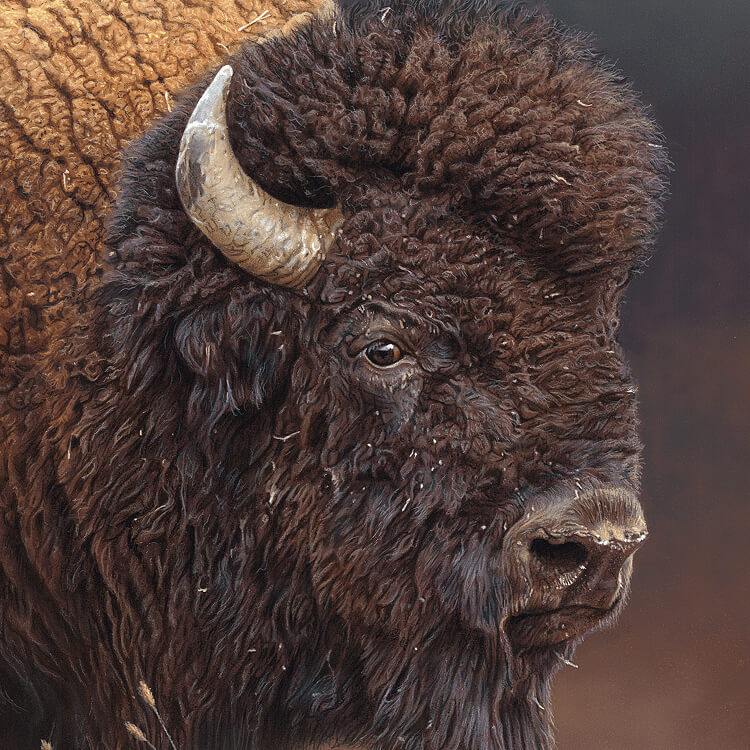 Bull's Eye – Elizabeth's Studio