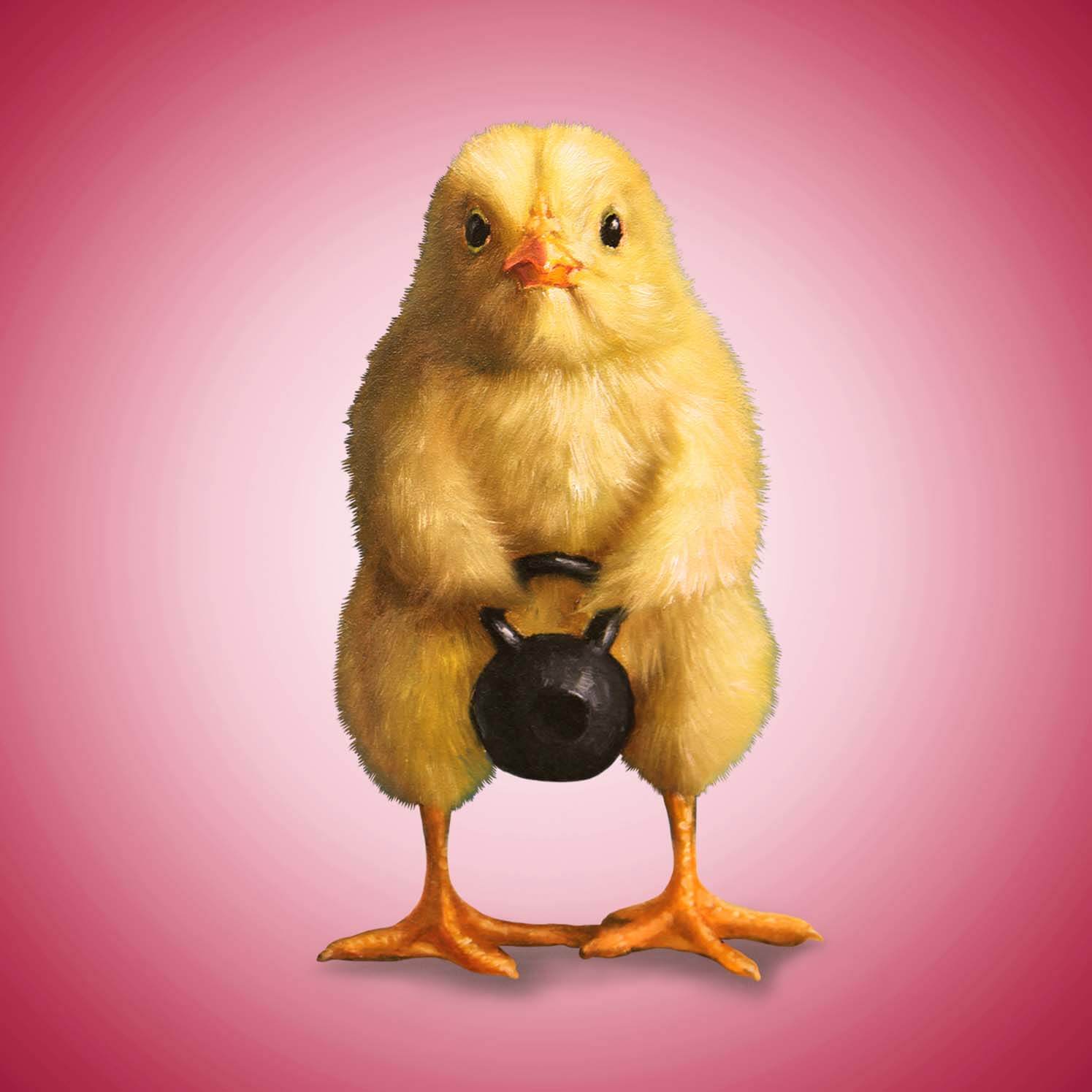 Fitness Chicks – Elizabeth's Studio