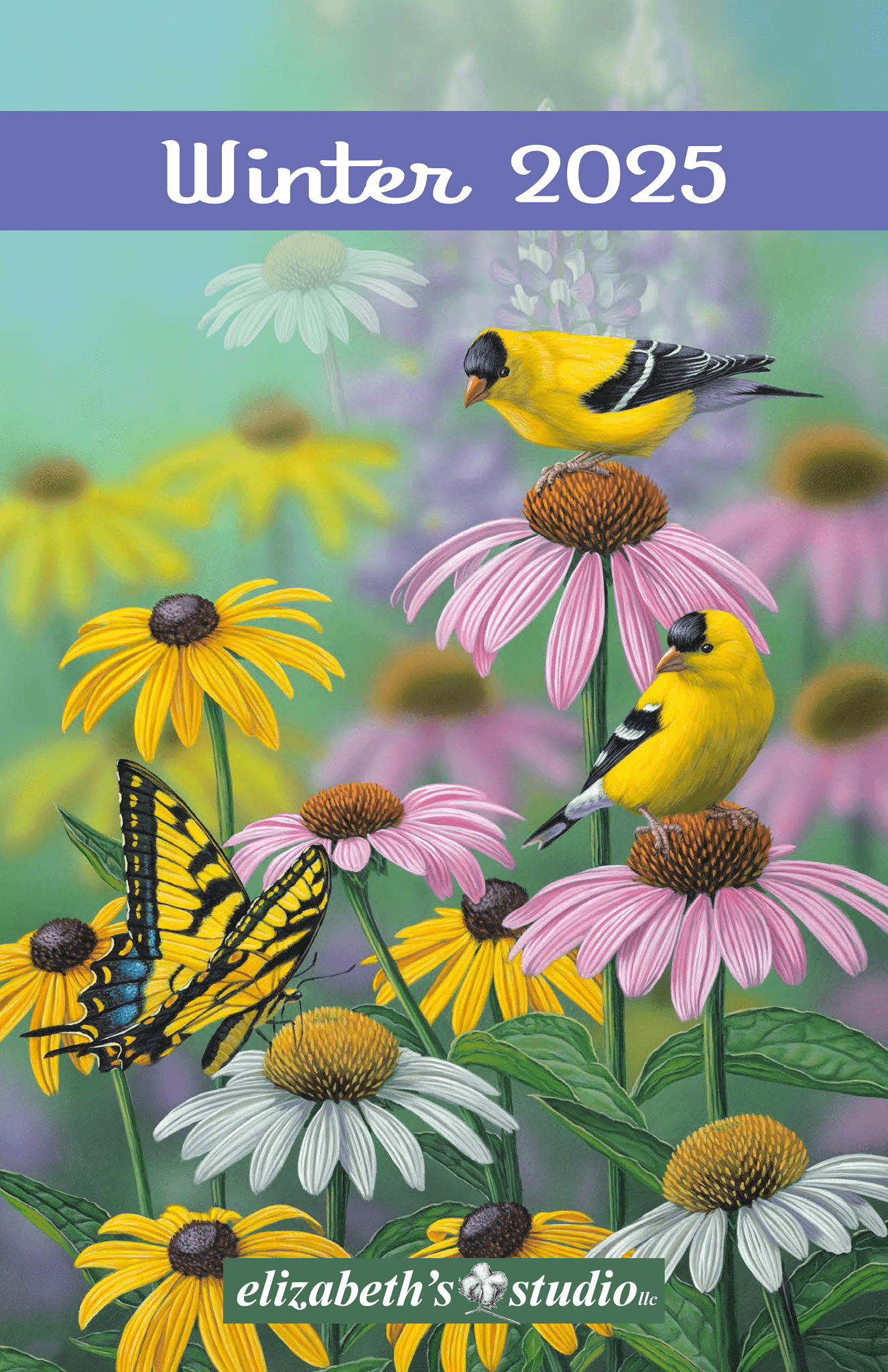 Catalogs – Elizabeth's Studio